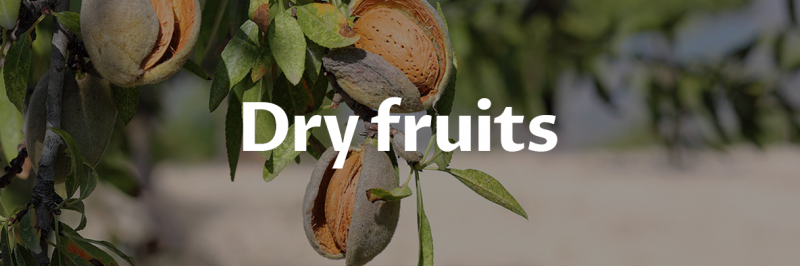 Fruits in Season Morocco - Zalar Agri